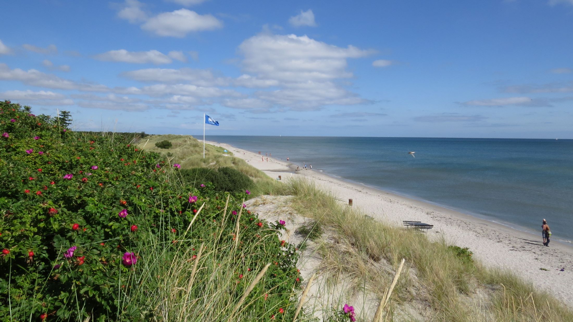 Sæby Strand | Strand Sæby | Inspiration für Ihren Badeausflug