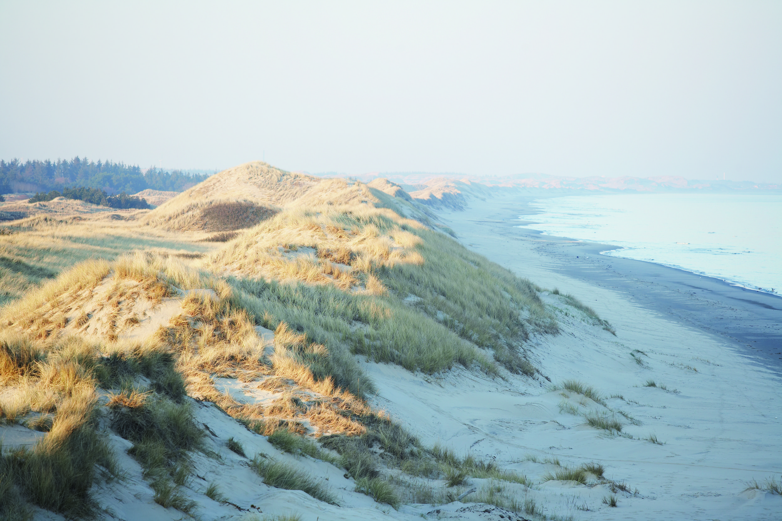 Erlebnisse in Kandestederne » Skagen Sudstrand Camping